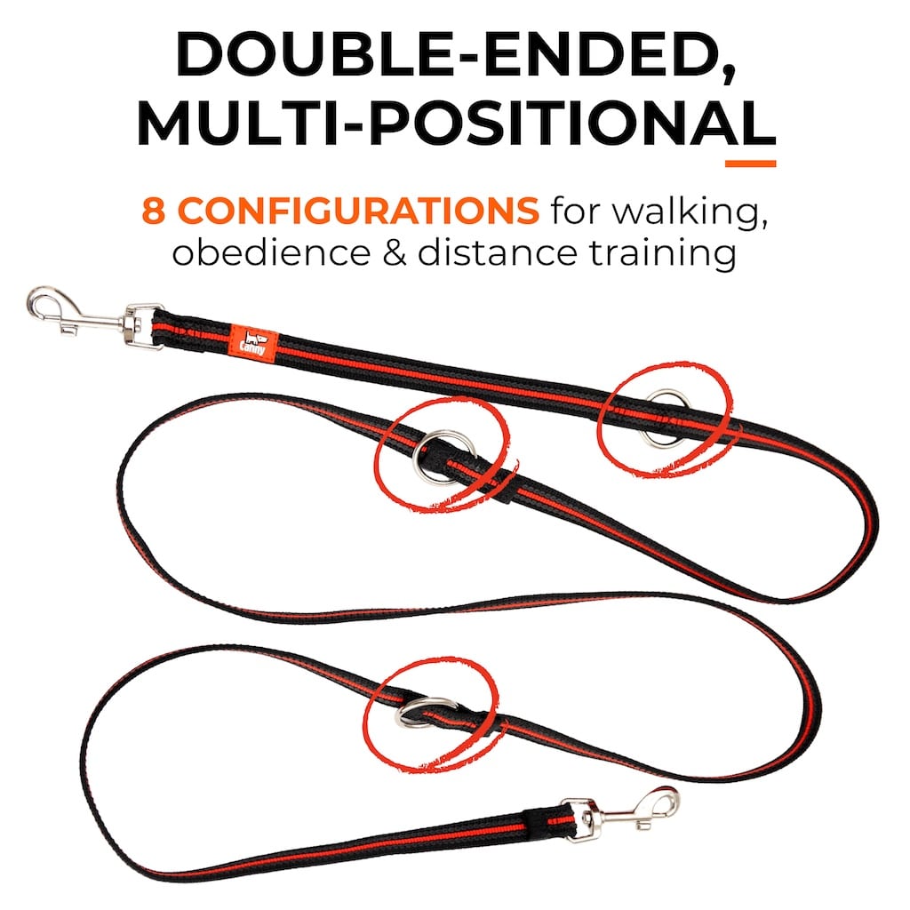Double Ended Dog Training Lead | 8 Positions | Hands-Free