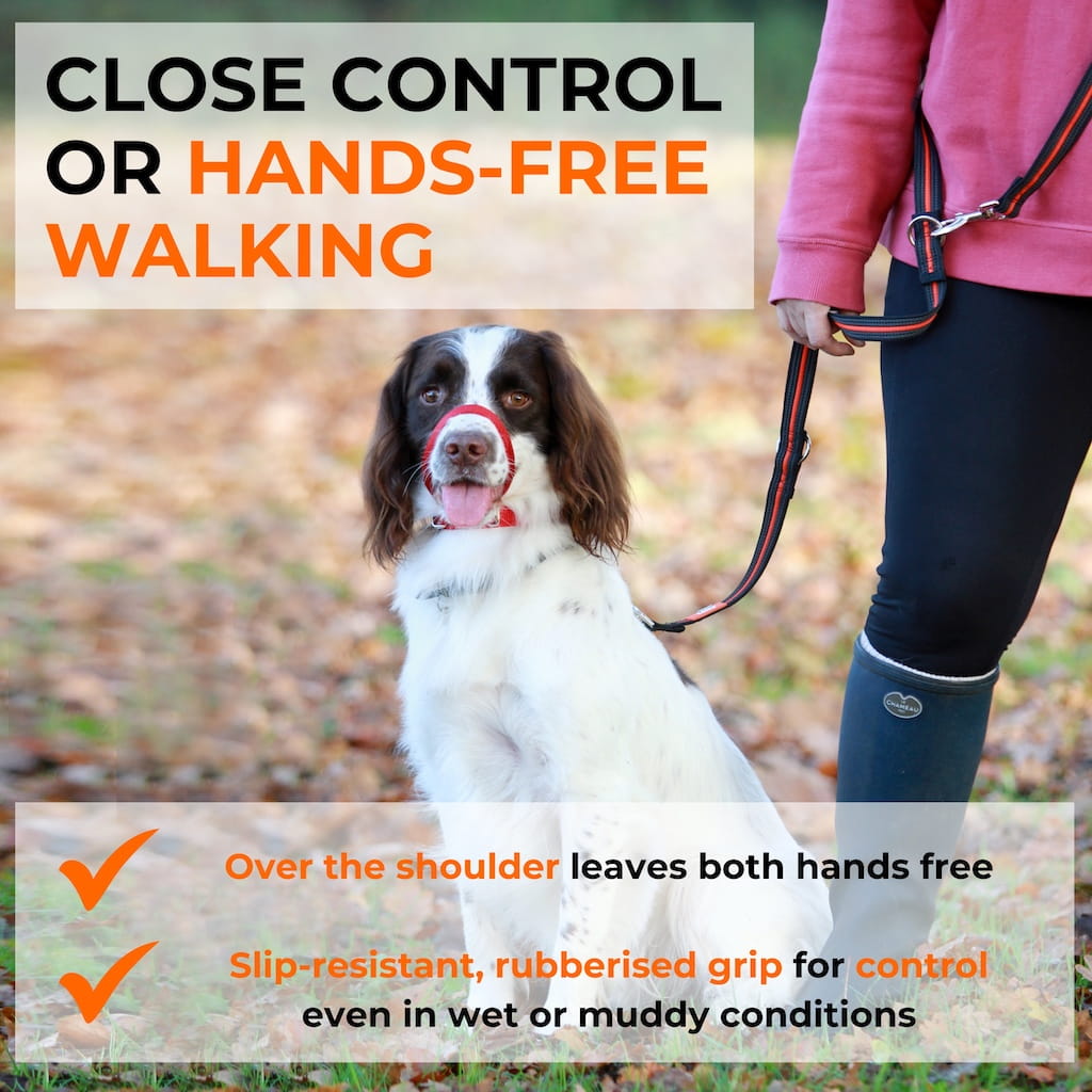 Double Ended Dog Training Lead | 8 Positions | Hands-Free
